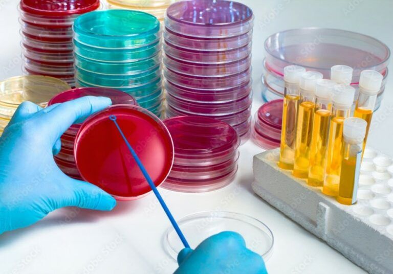 Medios de Cultivo - LemixData