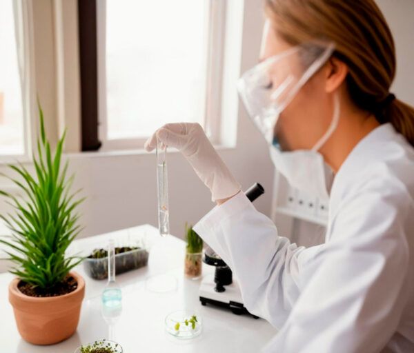 Servicio Técnico - LemixData